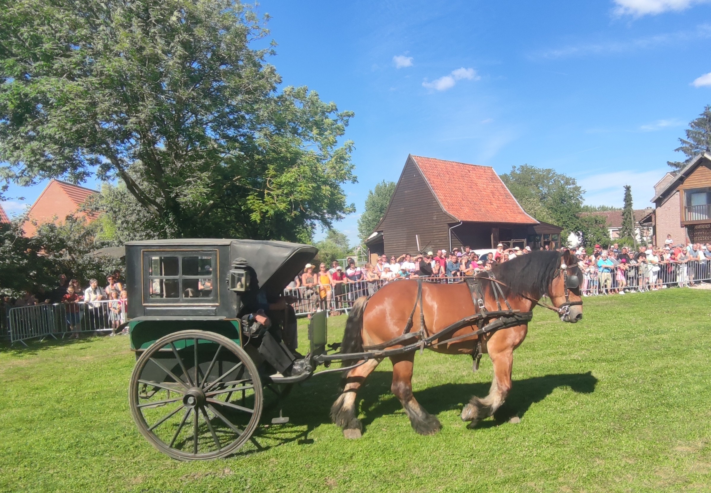 Fête du Cheval de trait à Steenwerck